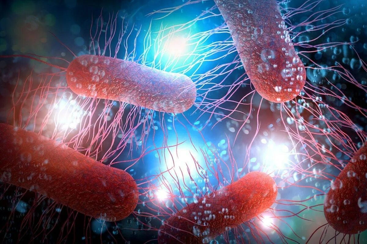 L'organismo più artificiale creato dall'uomo stravolge il concetto di ...